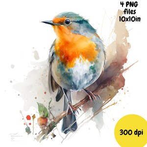 Robin Watercolor Clipart Robin Watercolor Robin Clipart PNG - Etsy