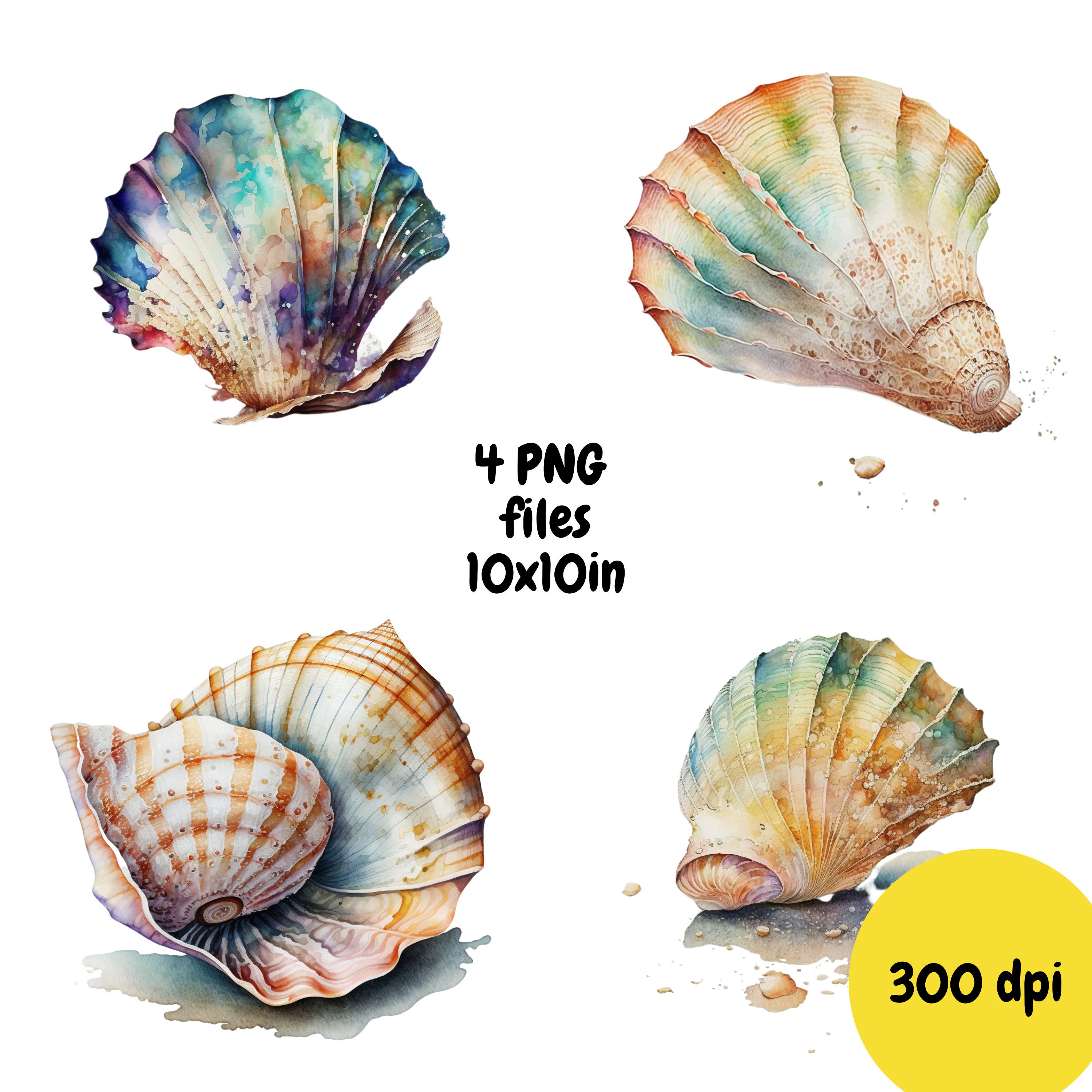 Sea Shell Watercolor Clipart Sea Shell Watercolor Sea Shell - Etsy ...