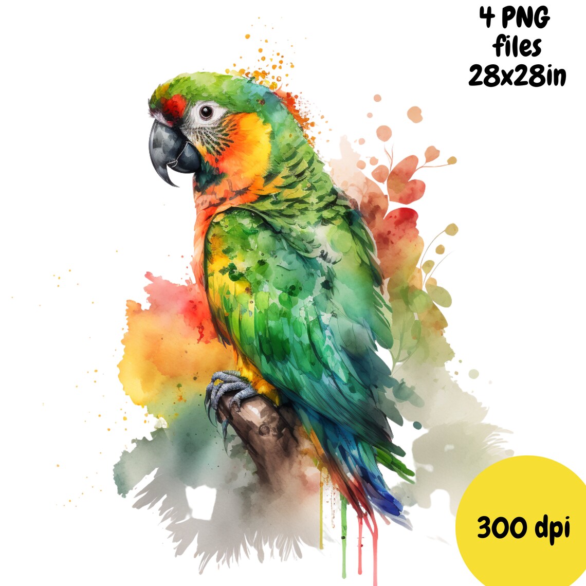 Parrot Watercolor Digital Downloads Parrot Clipart Parrot - Etsy