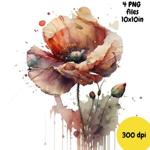 Watercolor Poppy, Poppy Clipart, Watercolor Flower Print, Wedding ...