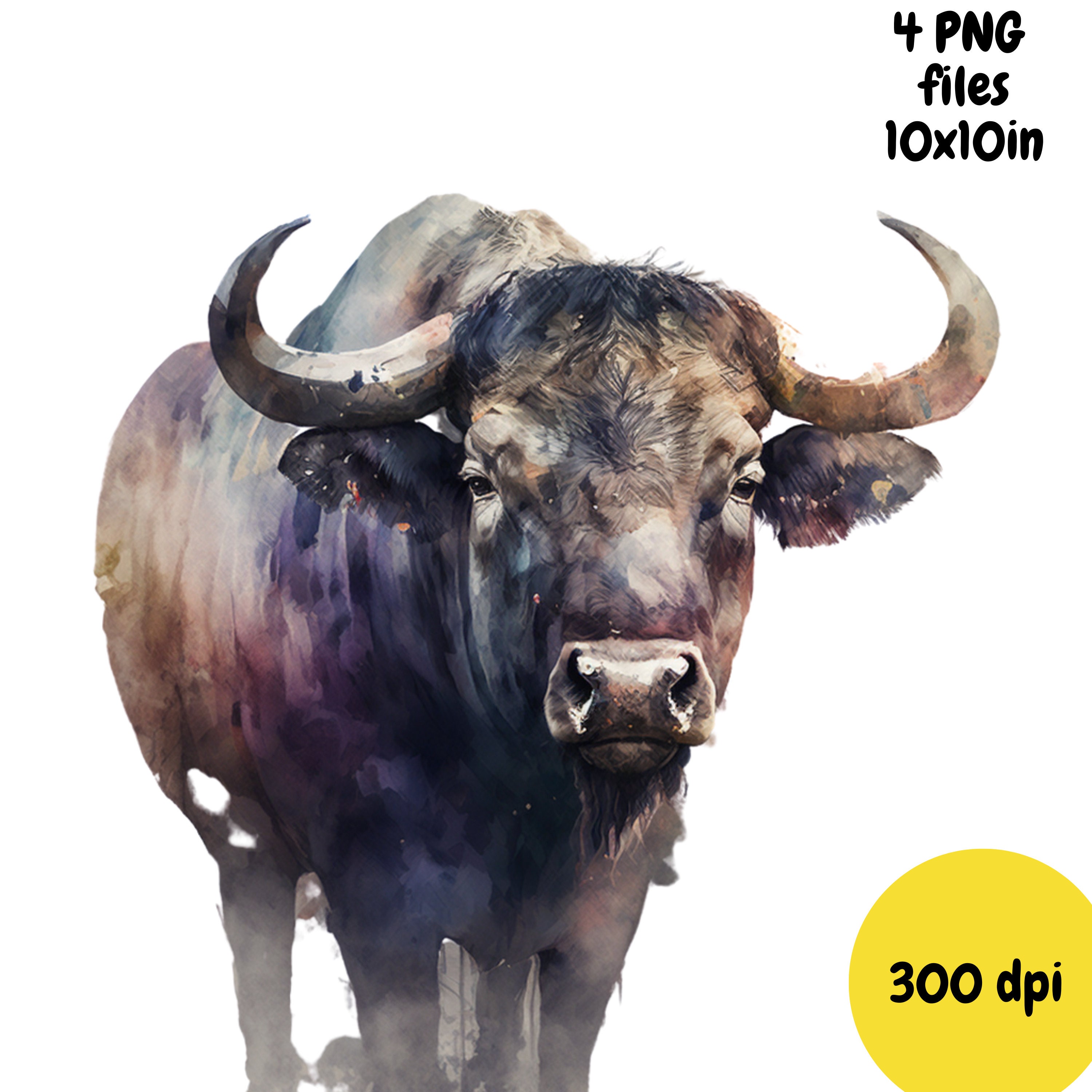 Watercolor Buffalo Clipart Buffalo Decor Wall Art Buffalo - Etsy