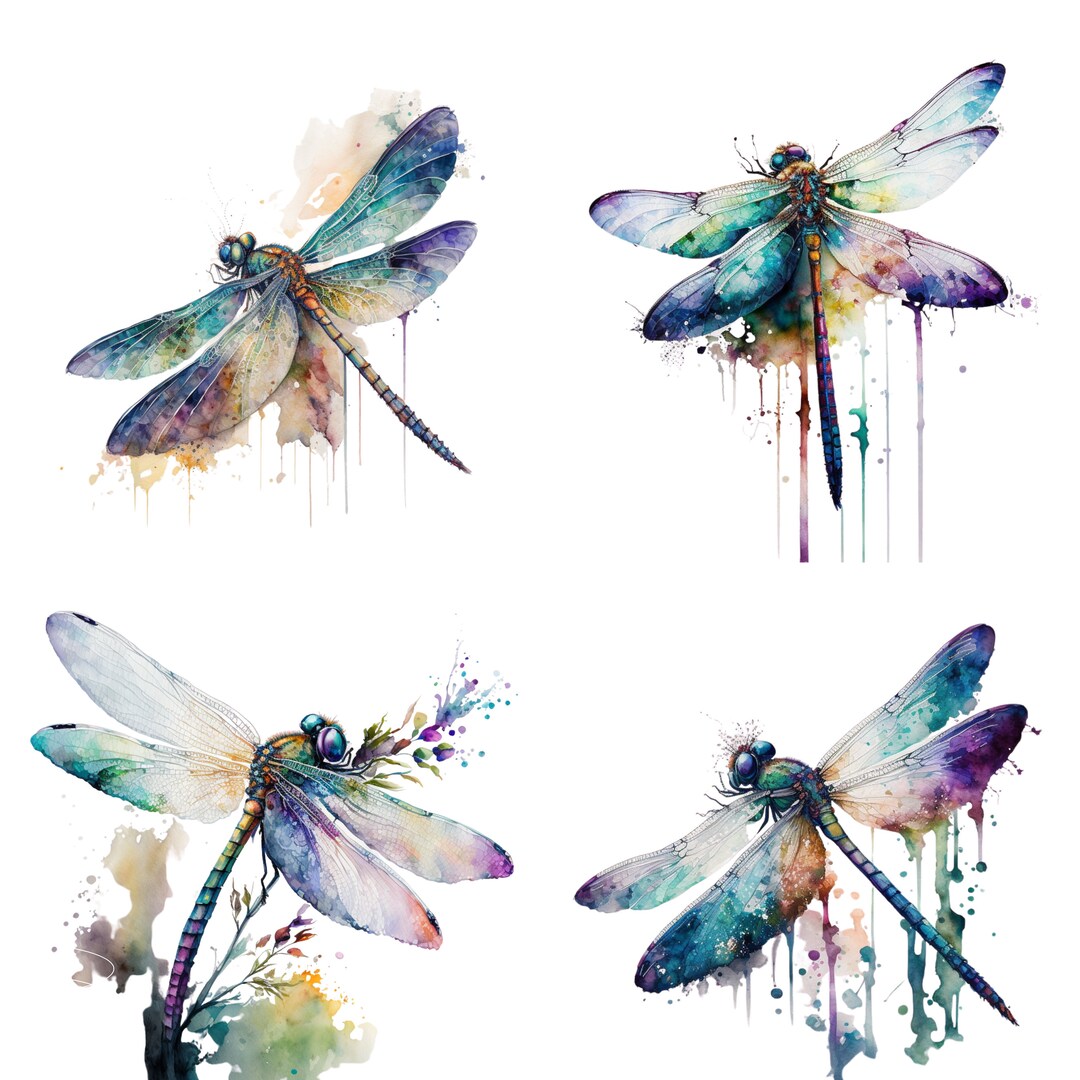 Dragonfly Watercolor, Digital Downloads, Dragonfly Clipart, Dragonfly ...