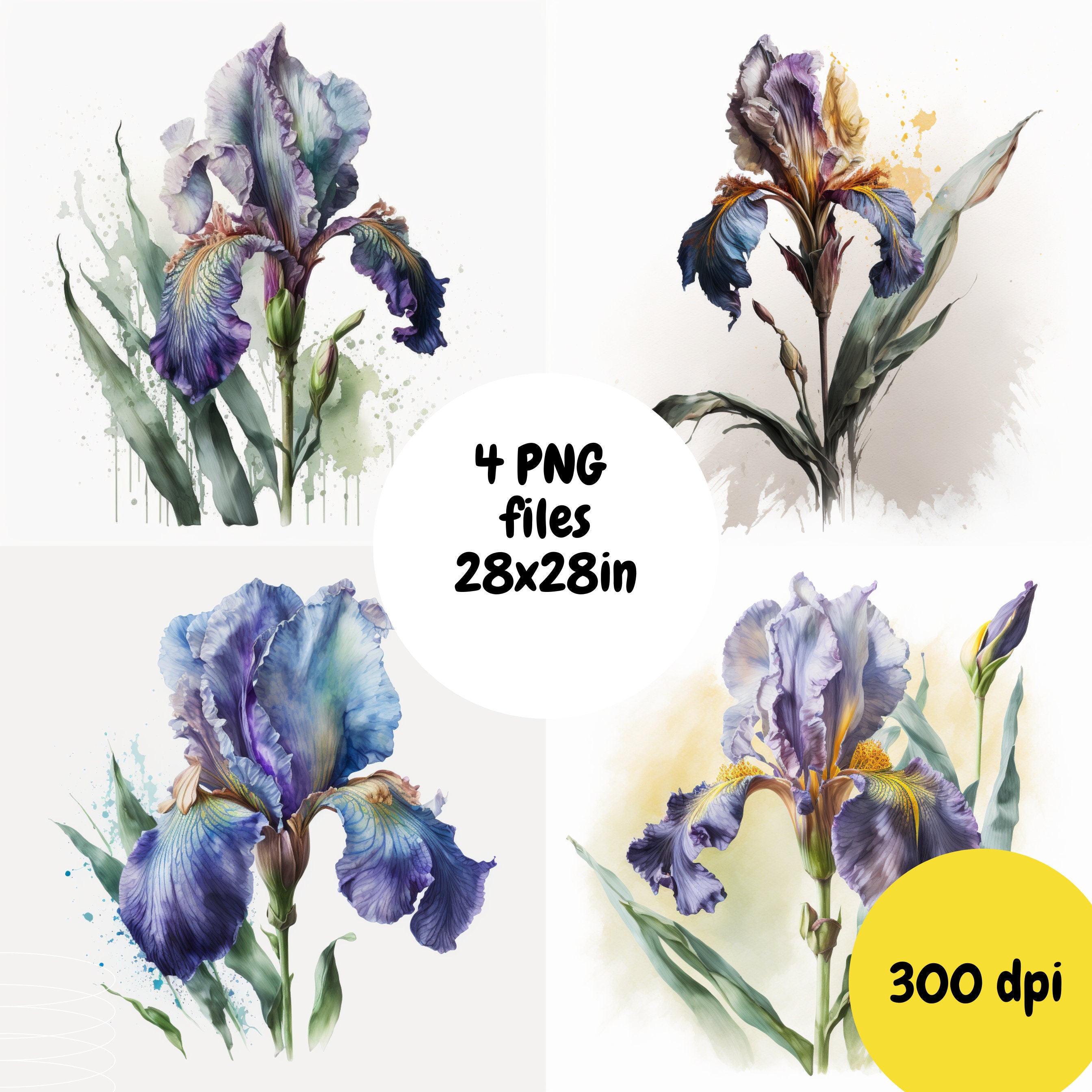 Watercolor Iris Clipart Watercolor Iris Print Wedding Purple - Etsy