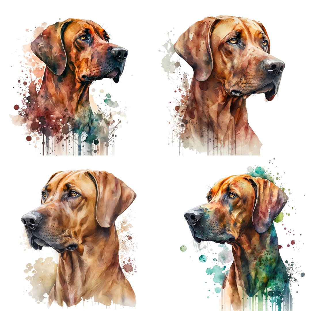Rhodesian Ridgeback Art Print, Rhodesian Ridgeback Watercolor Clipart ...