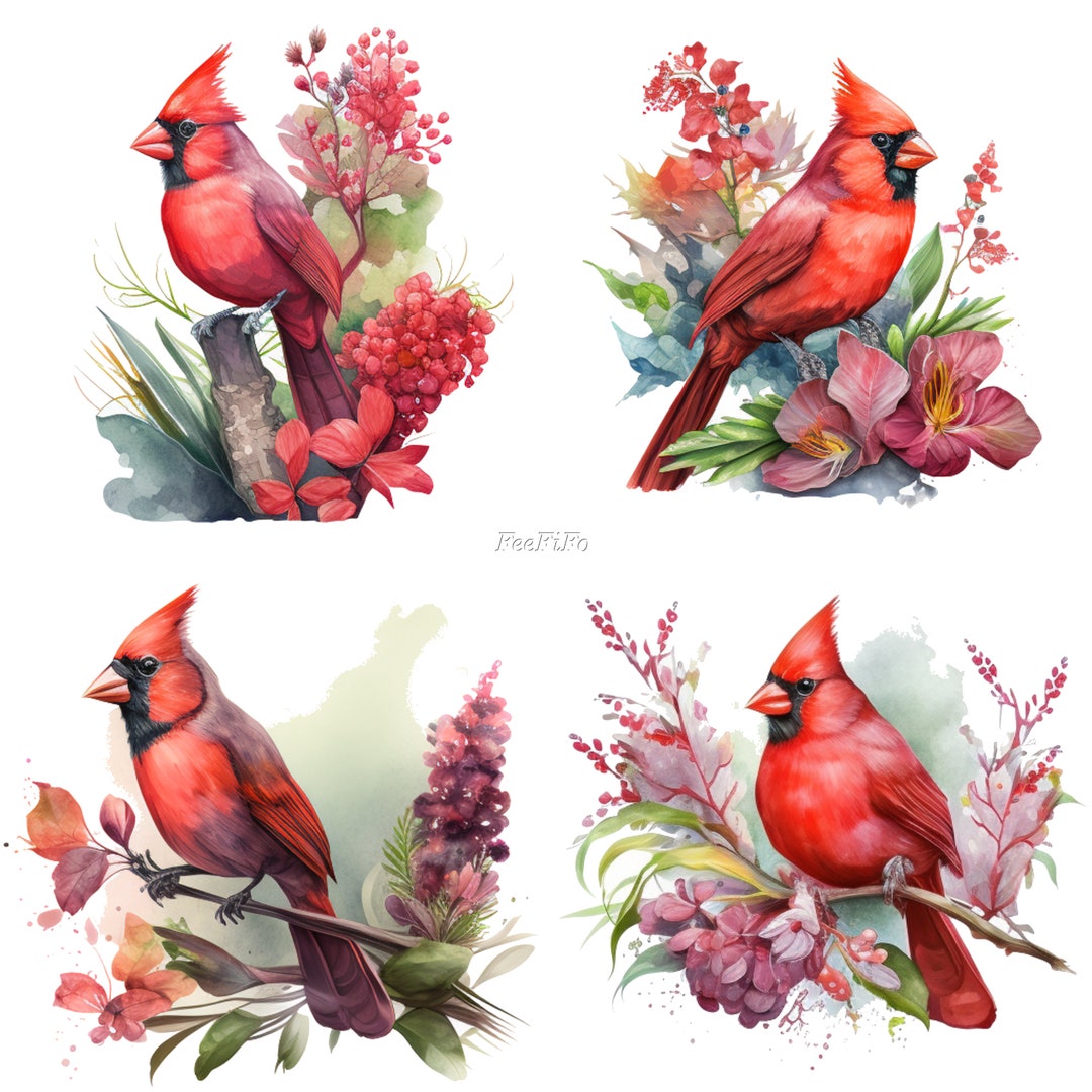 Red Cardinal Watercolor Clipart, Cardinal Watercolor,red Cardinal ...