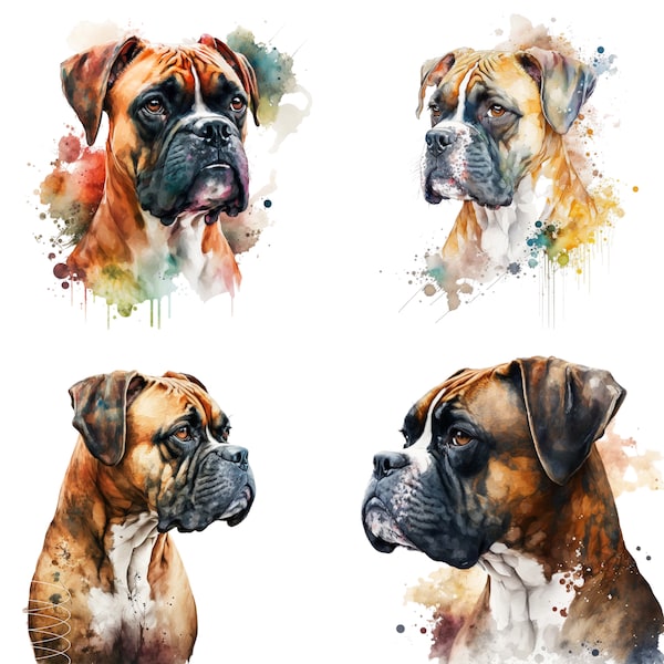 Boxer Watercolor - Etsy