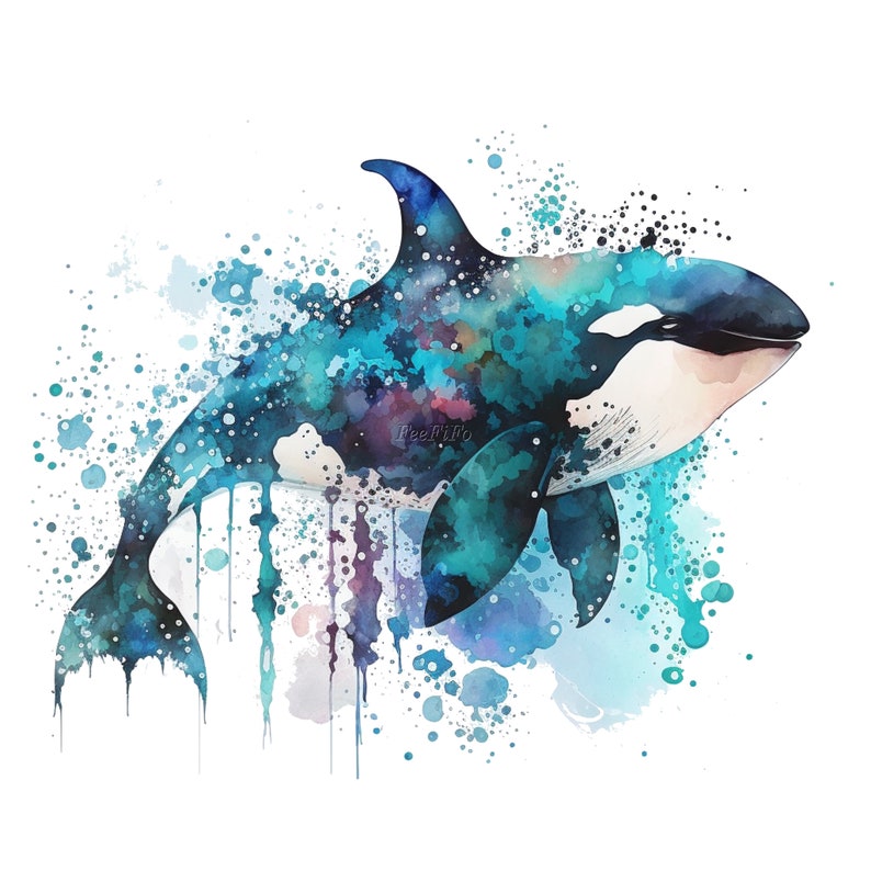 Orca Watercolor Digital Downloads Orca Clipart Orca PNG - Etsy