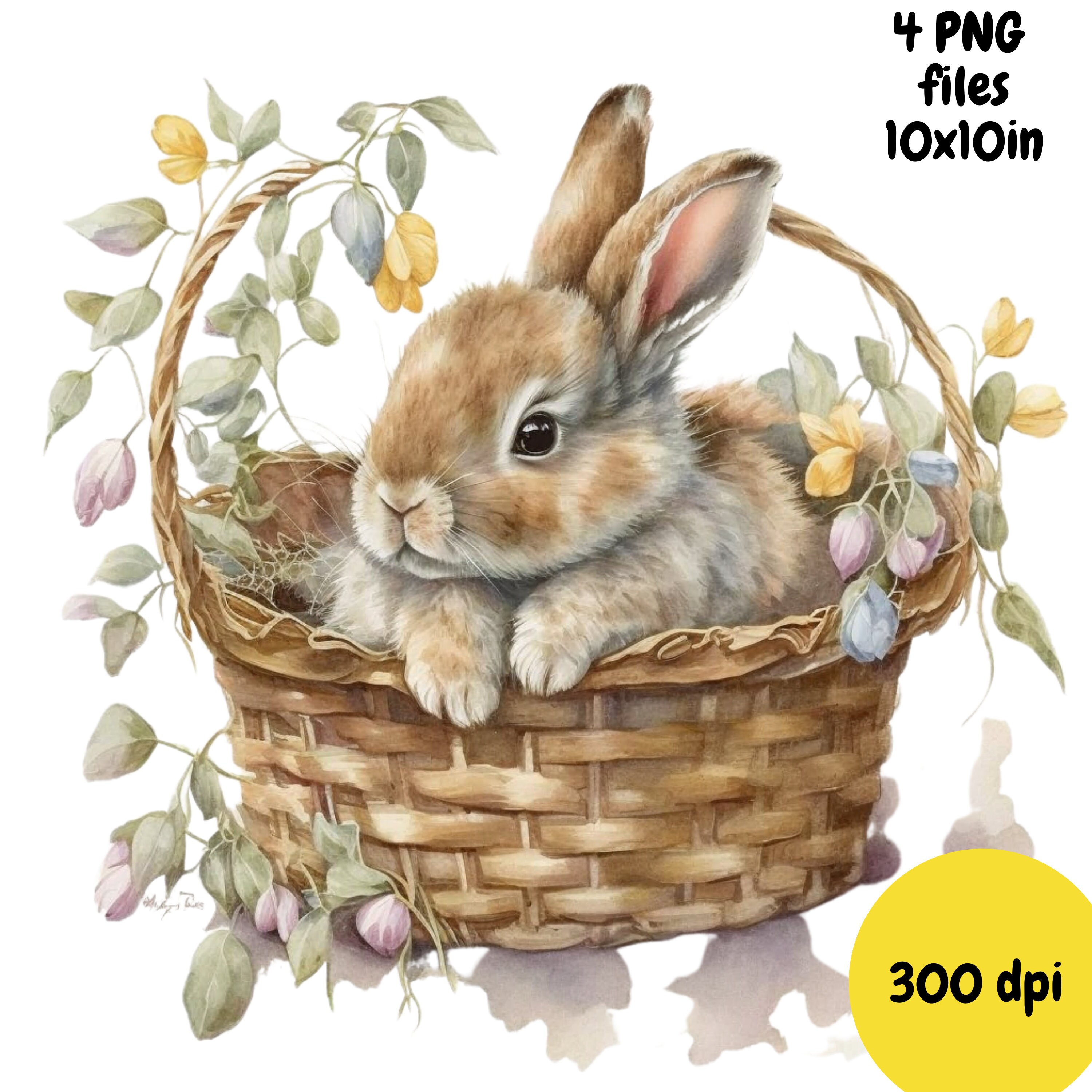 Easter Bunny in Basket Clipart Watercolor Bunny in Basket - Etsy