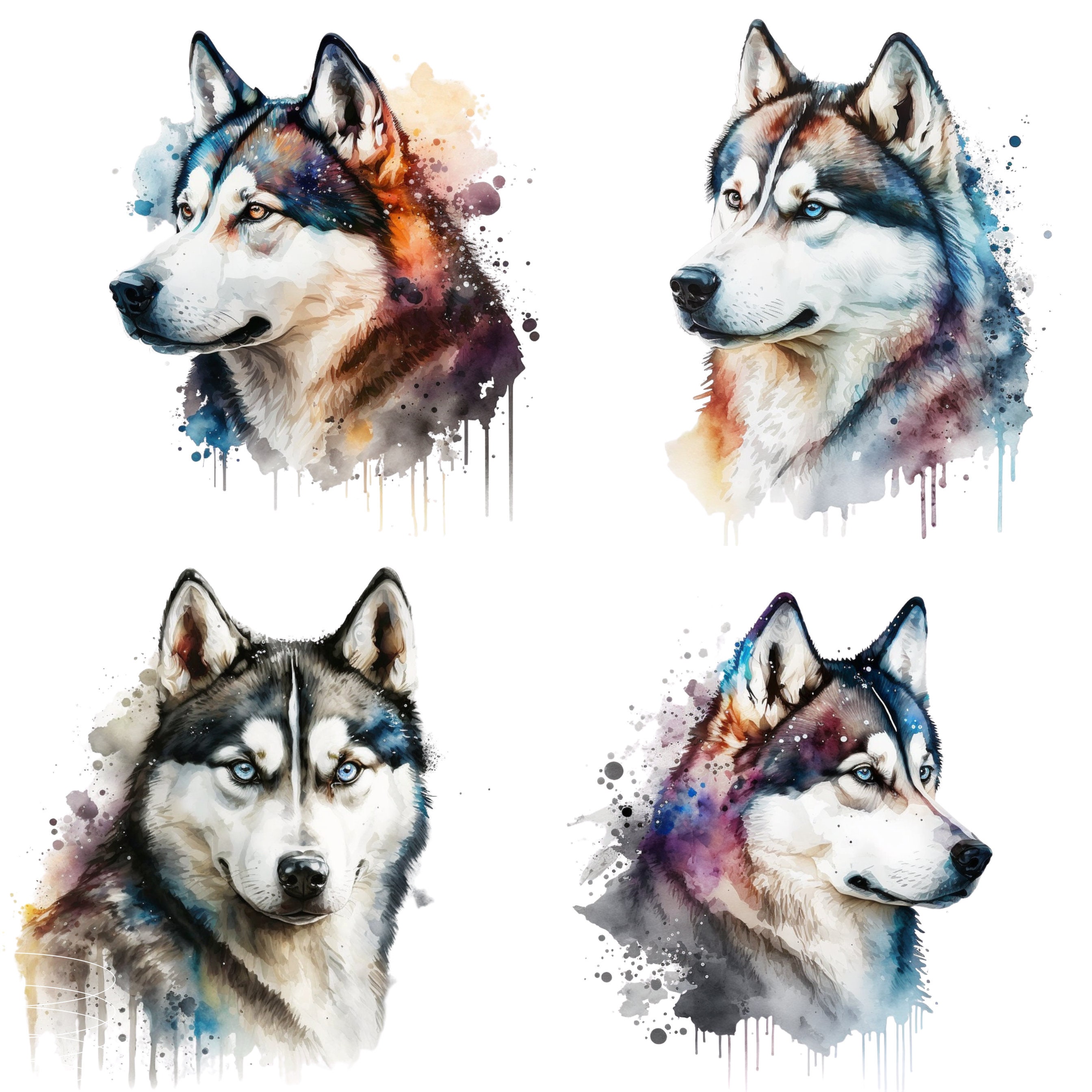 Husky Art Print Husky Printhusky Watercolor Husky Clipart - Etsy