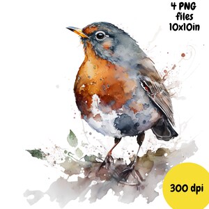 Robin Watercolor Clipart Robin Watercolor Robin Clipart PNG - Etsy