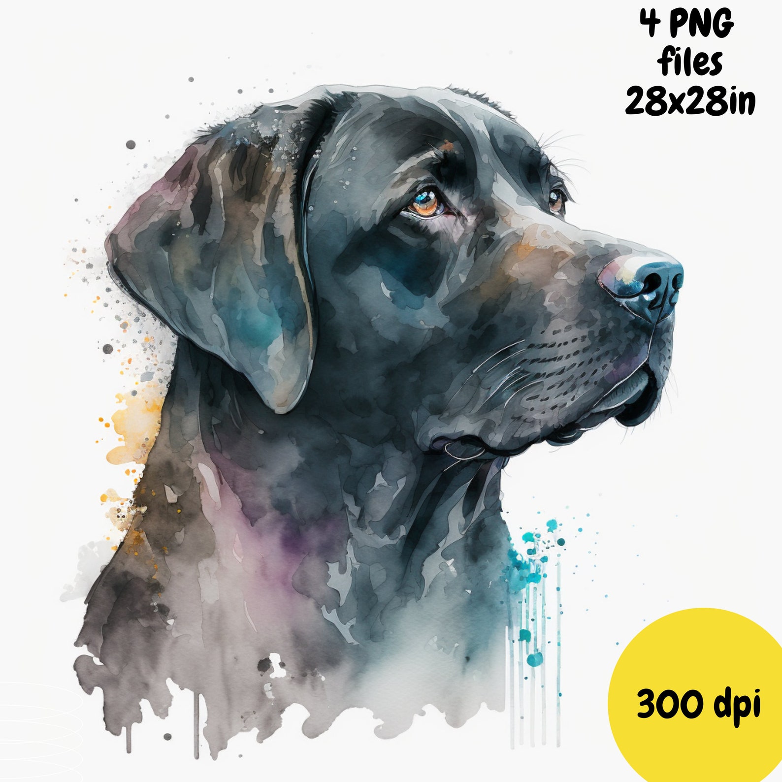 Black Labrador Art Print, Black Labrador Print,black Labrador ...