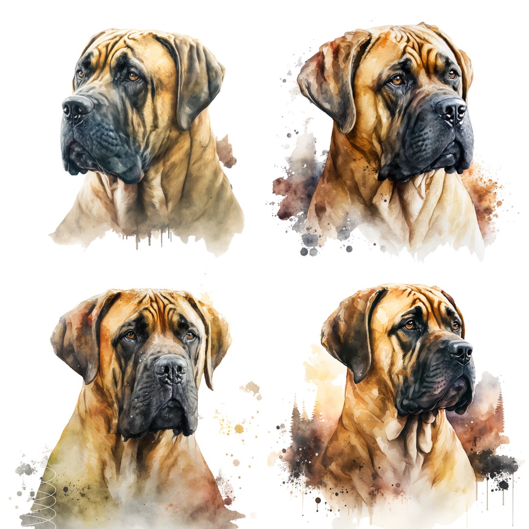 Boerboel Art Print, Boerboel Print,boerboel Watercolor, Boerboel ...