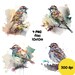 Sparrow Watercolor Clipart, Sparrow Watercolor, Sparrow Clipart PNG ...
