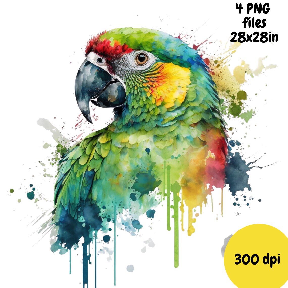 Parrot Watercolor Digital Downloads Parrot Clipart Parrot - Etsy