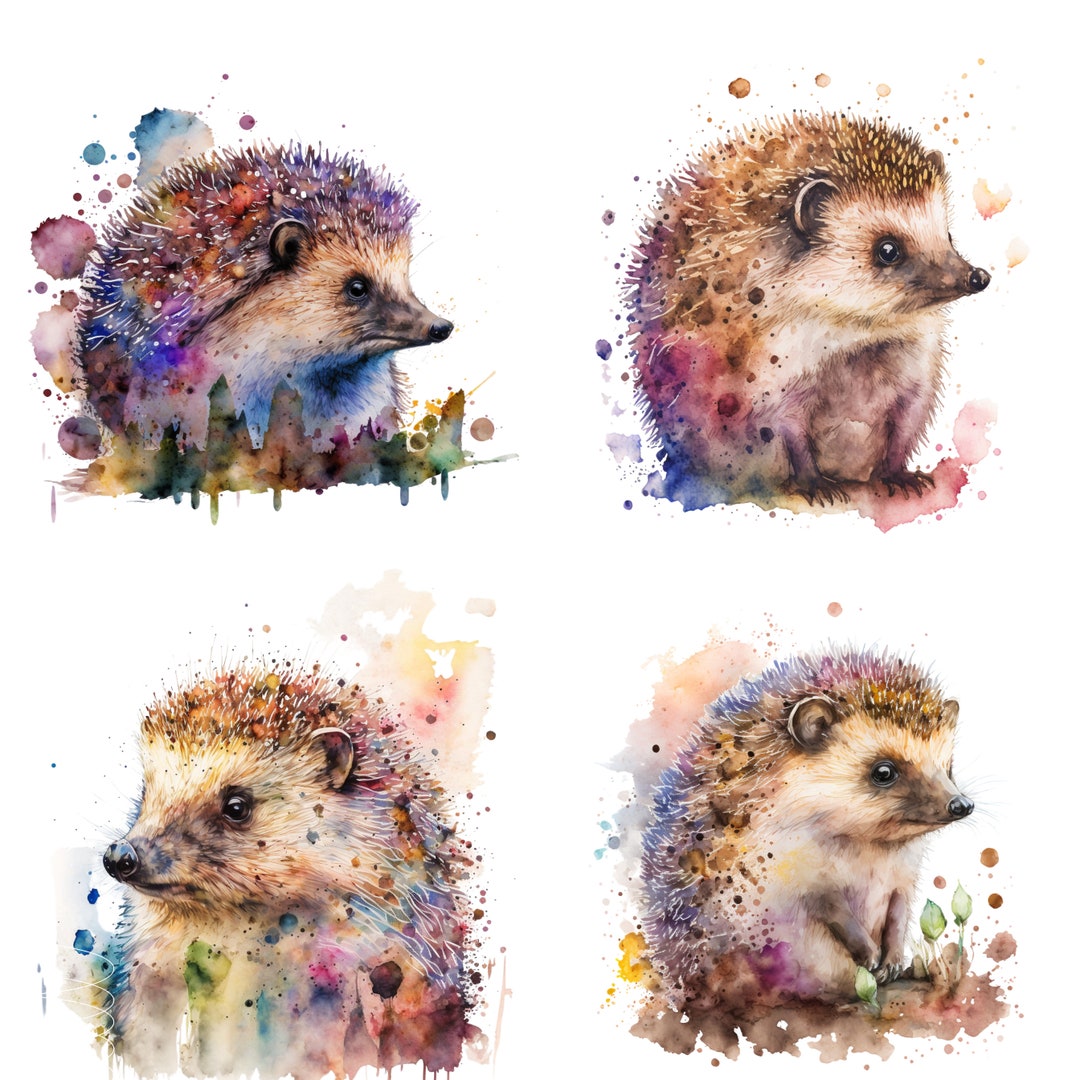 Hedgehog Watercolor, Digital Downloads, Hedgehog Clipart, Hedgehog PNG ...