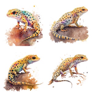 Leopard Gecko Watercolor, Digital Downloads,leopard Gecko Clipart ...