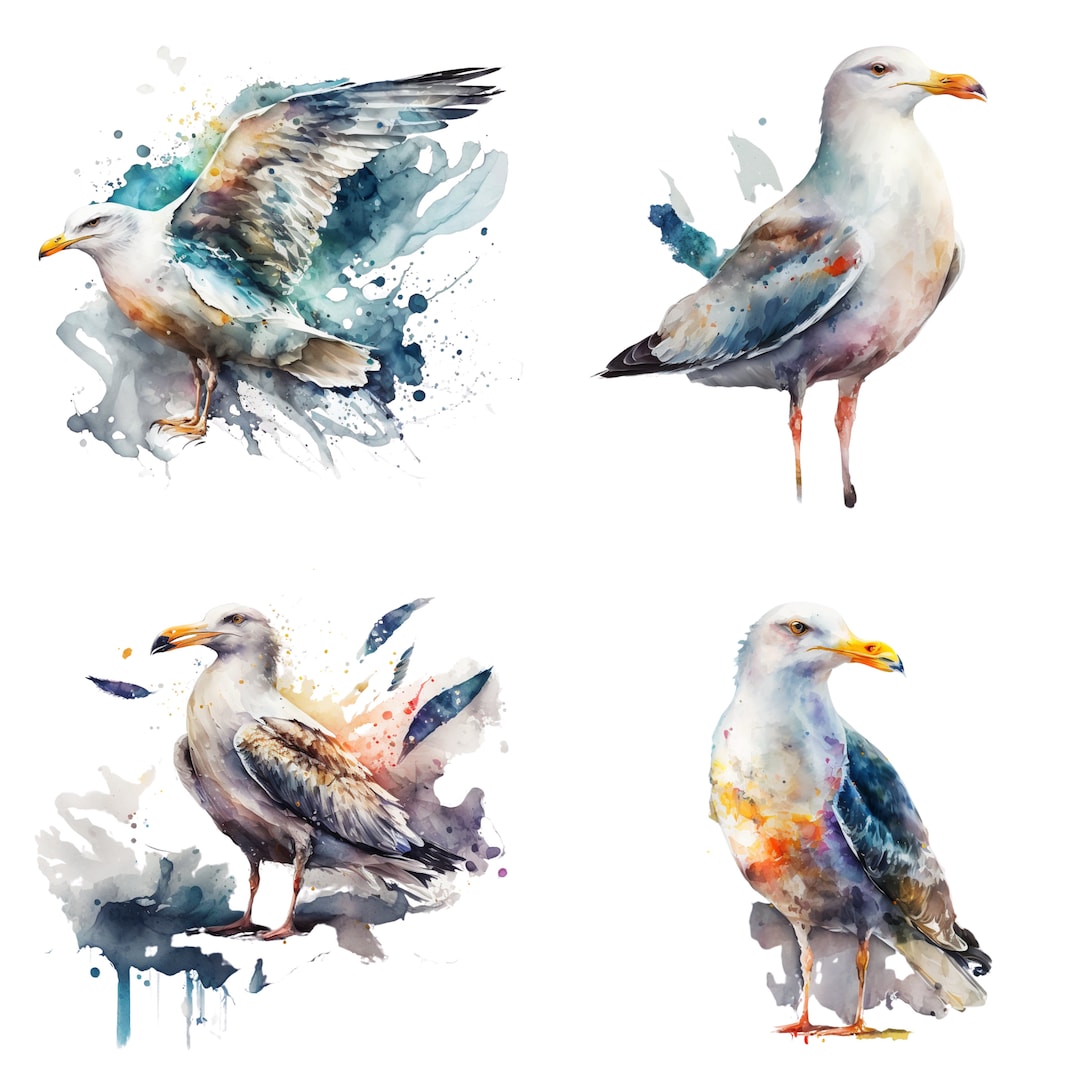Seagull Watercolor Clipart, Seagull Watercolor, Seagull Clipart PNG ...