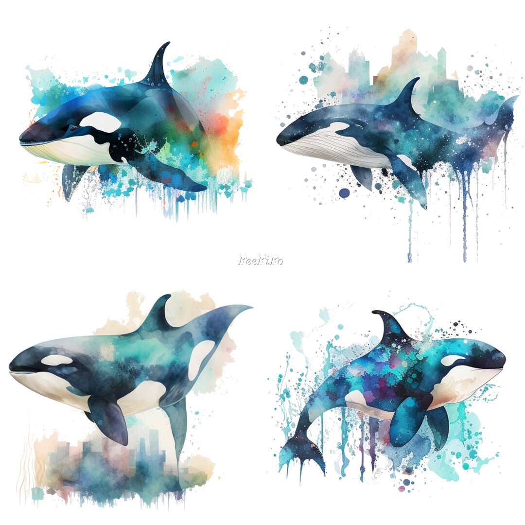 Orca Watercolor, Digital Downloads, Orca Clipart, Orca PNG, Orca Wall ...