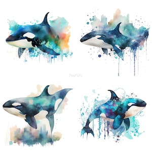 Orca Watercolor, Digital Downloads, Orca Clipart, Orca PNG, Orca Wall ...