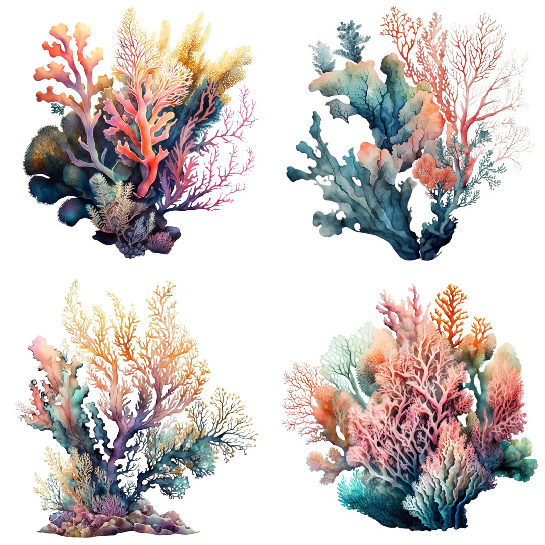Coral Watercolor Clipart, Coral Watercolor, Coral Clipart PNG ...