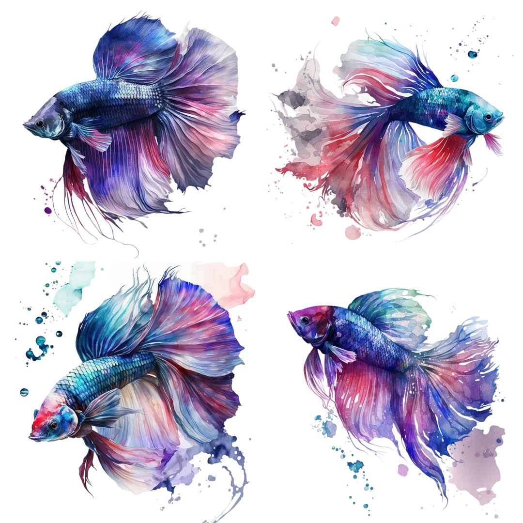 Watercolor Betta Fish, Colorful Betta Fish, Digital Clipart, Paper ...