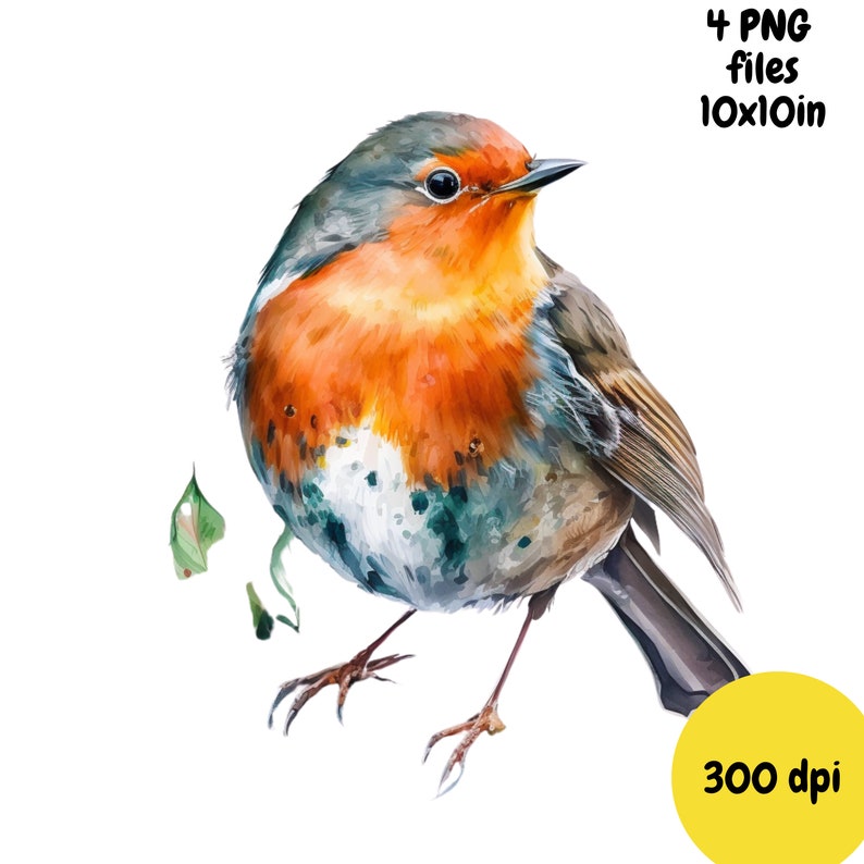 Robin Watercolor Clipart Robin Watercolor Robin Clipart PNG - Etsy