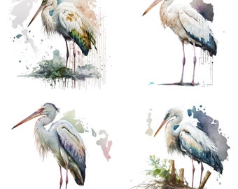 Watercolor Stork Clipart - Etsy