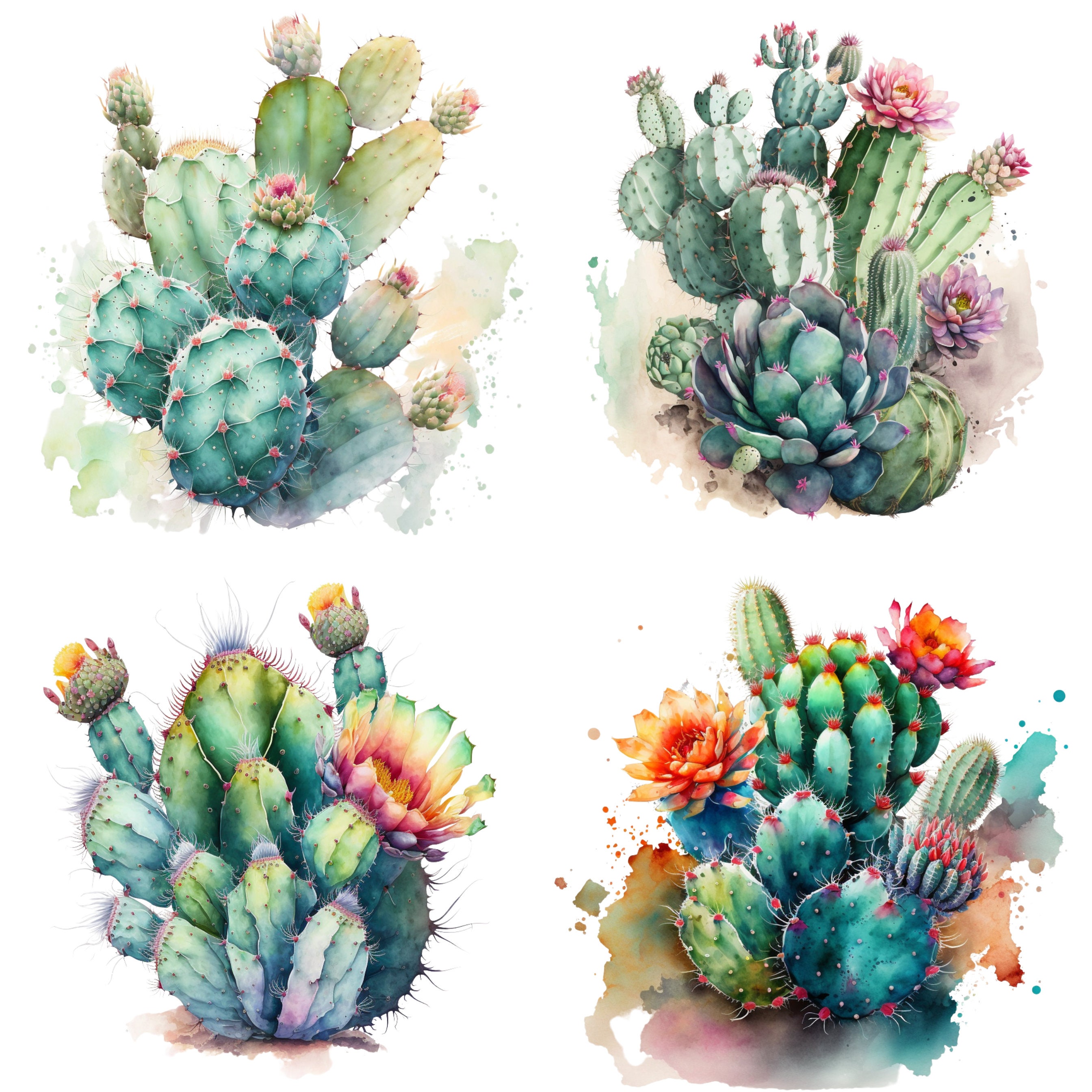 Cactus Print Cactus Clipart Watercolor Print Plant Art Art - Etsy