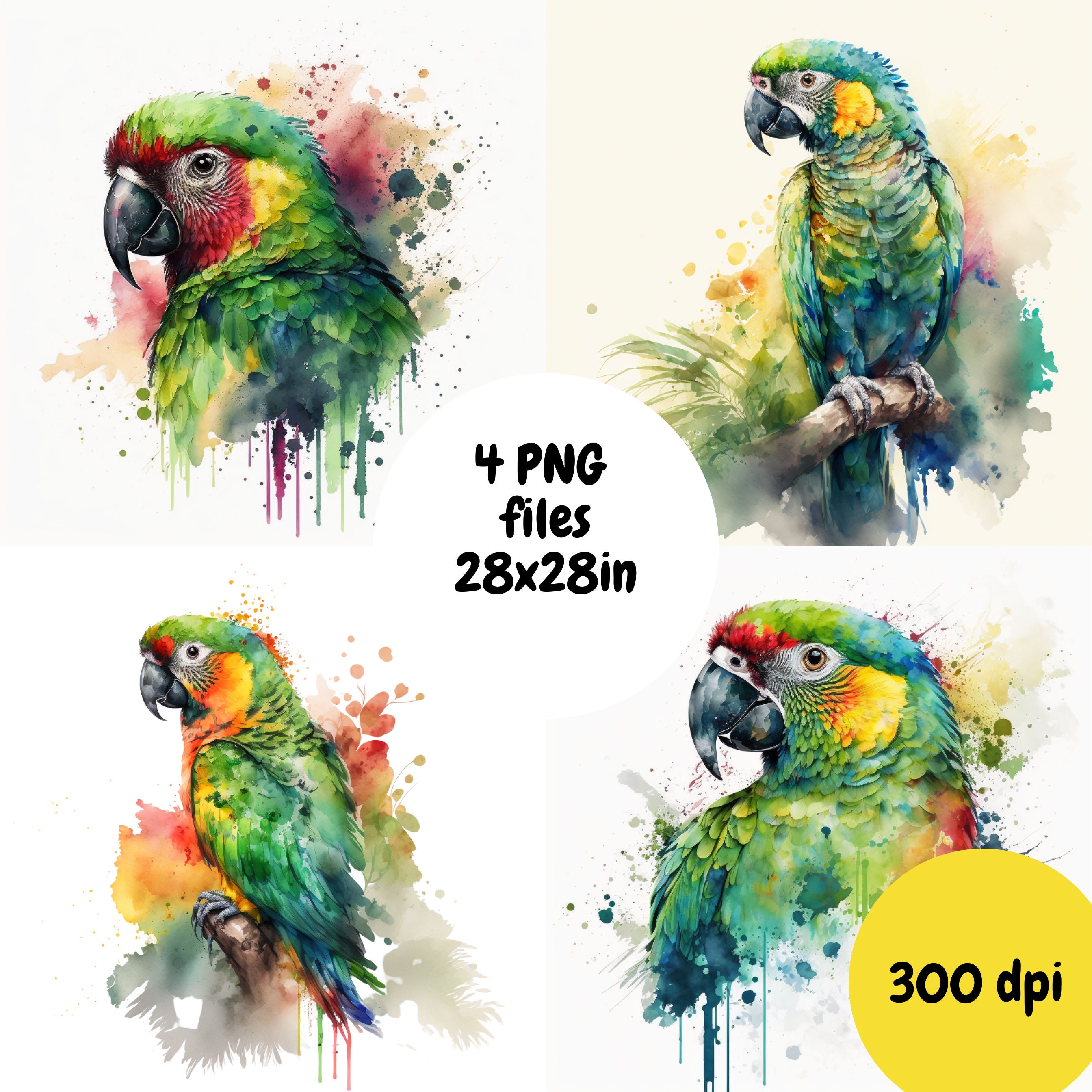 Parrot Watercolor Digital Downloads Parrot Clipart Parrot - Etsy