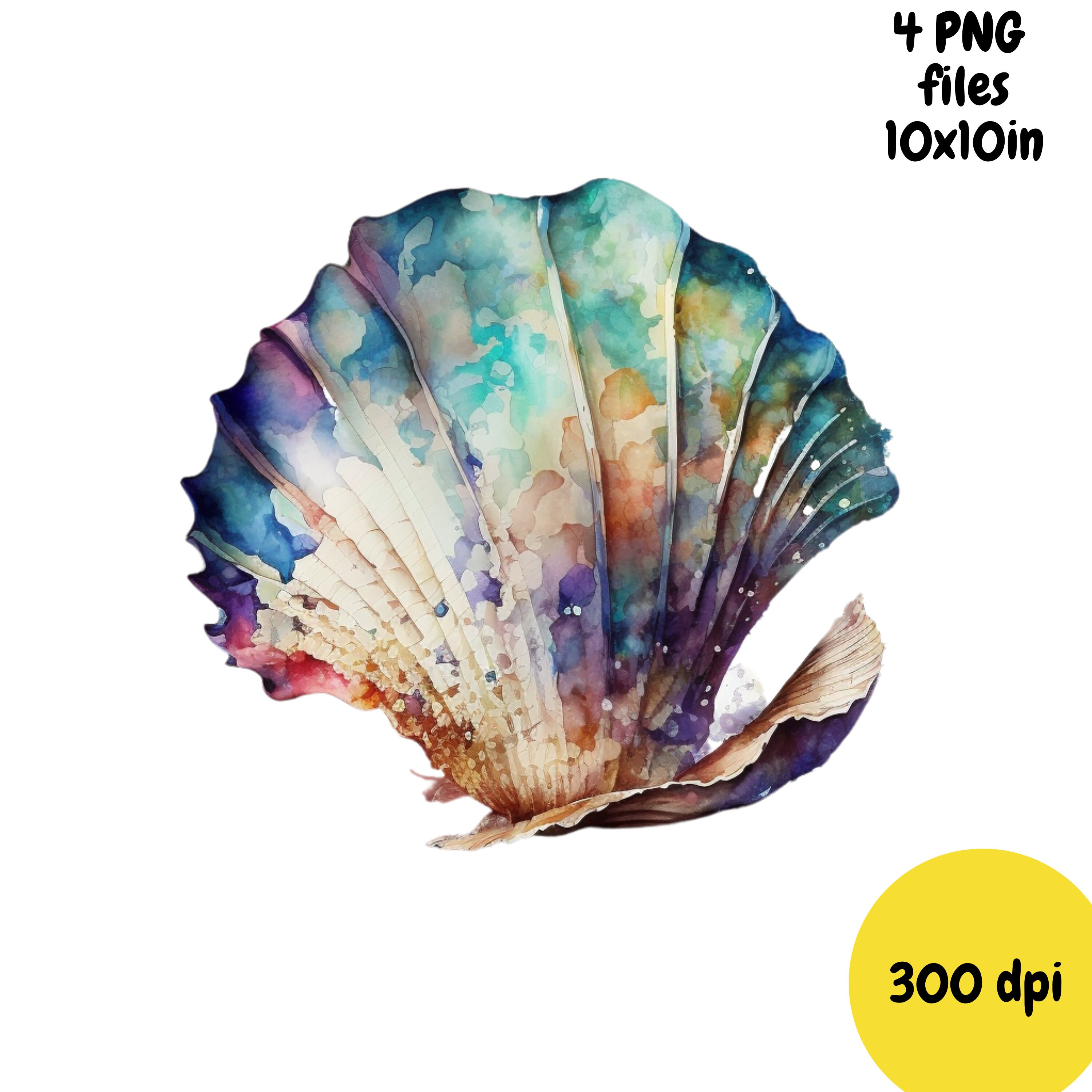 Sea Shell Watercolor Clipart Sea Shell Watercolor Sea Shell - Etsy ...