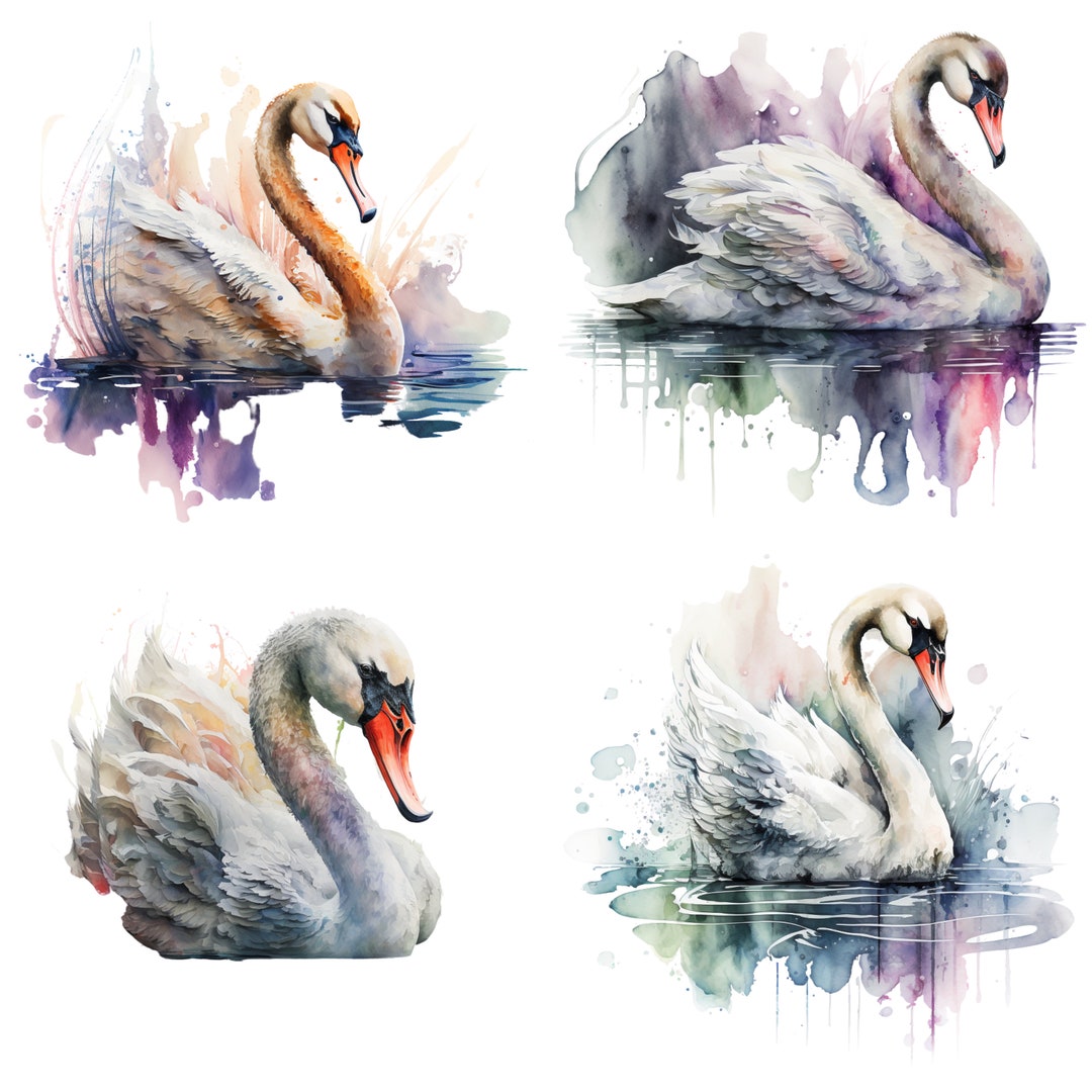 Swan Watercolor Clipart, Swan Watercolor, Swan Clipart PNG, Printable ...