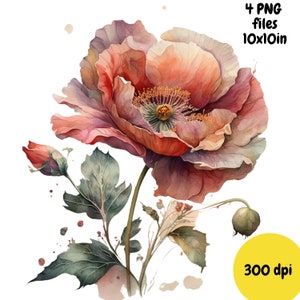 Watercolor Poppy, Poppy Clipart, Watercolor Flower Print, Wedding ...