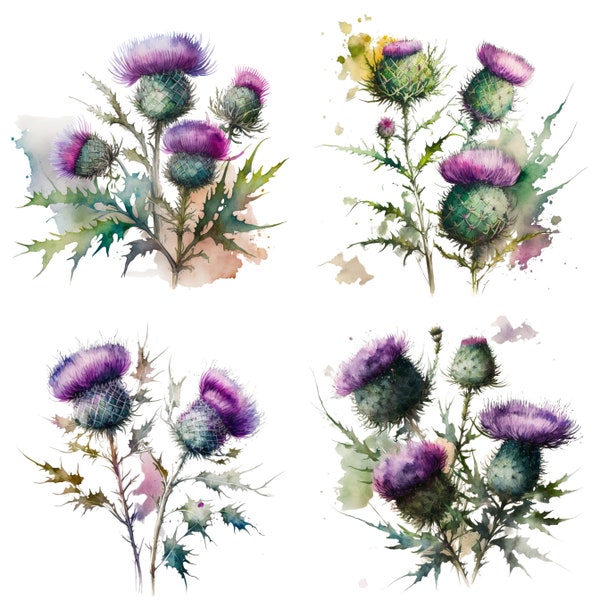 Thistle - Etsy