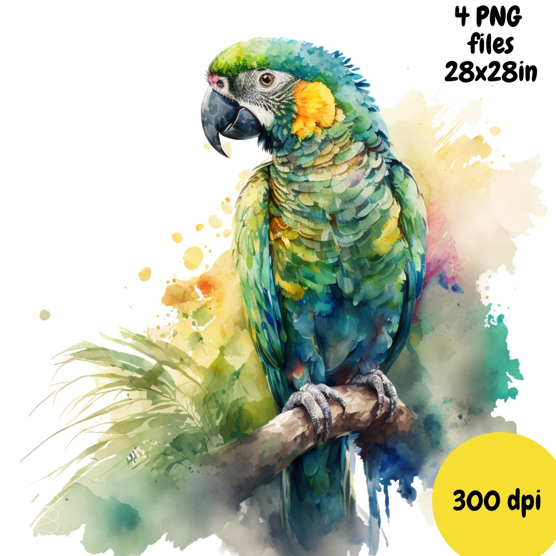 Parrot Watercolor Digital Downloads Parrot Clipart Parrot - Etsy