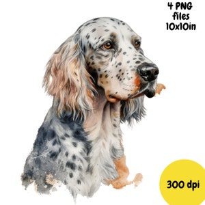 English Setter Art Print, English Setter Watercolor Clipart, T ...