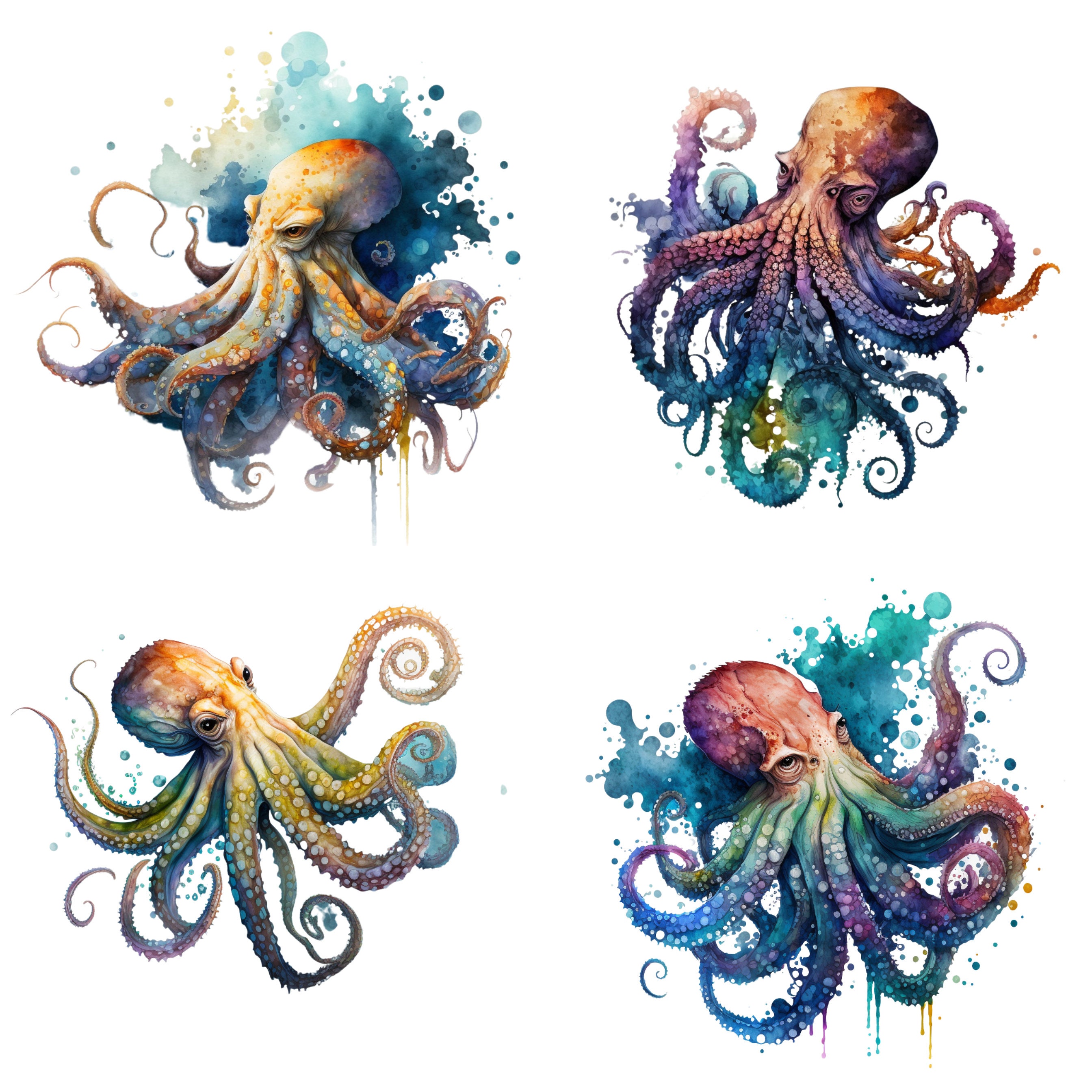 Octopus Watercolor