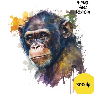 Watercolor Chimpanzee Clipart, Chimpanzee Decor Wall Art, Chimpanzee ...