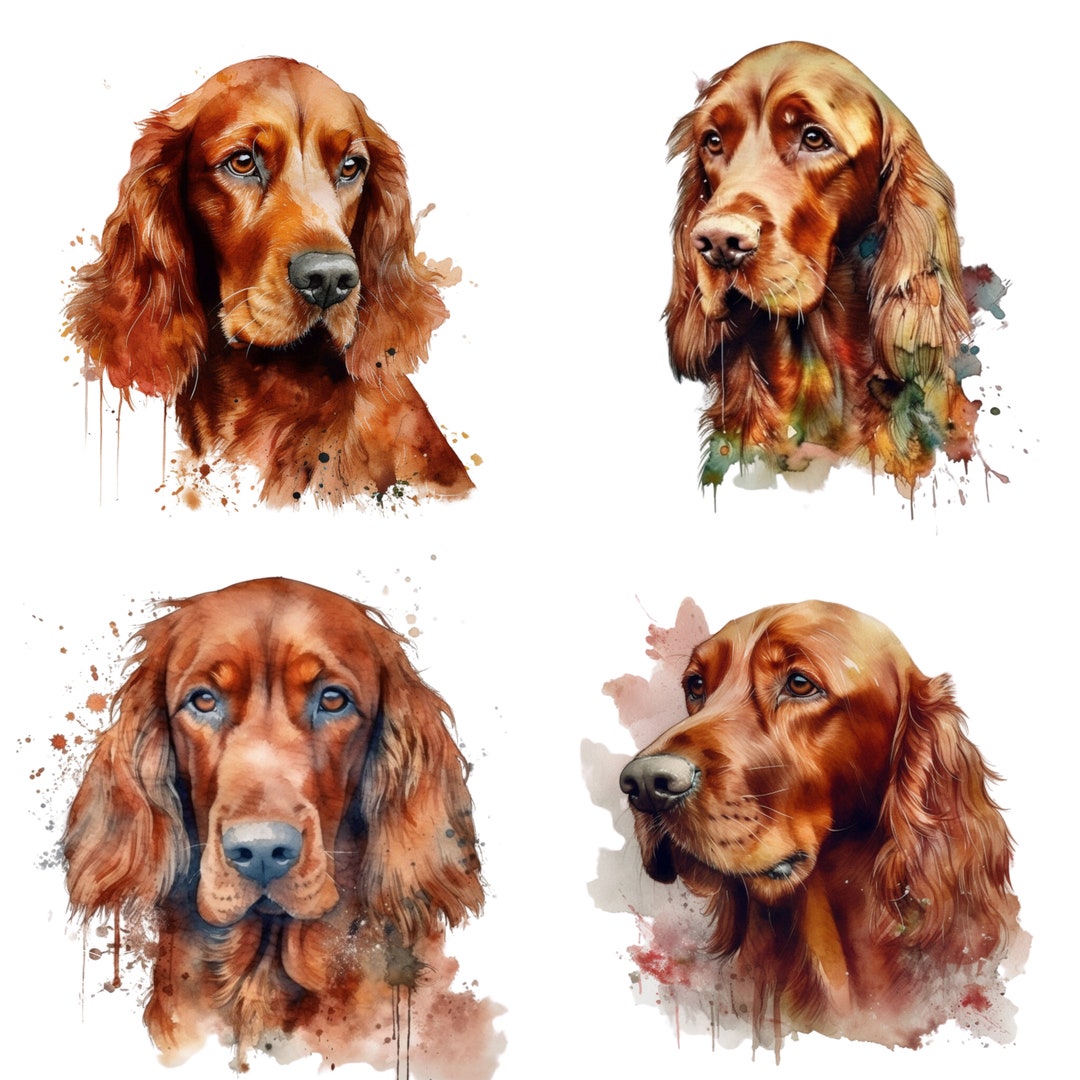 Irish Setter Art Print, Irish Setter Watercolor Clipart, Cute Dog ...
