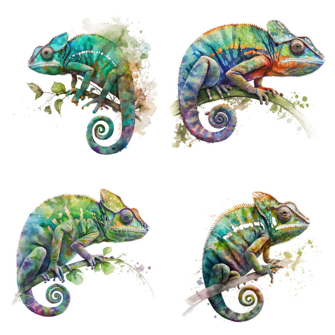 Chameleon Watercolor, Digital Downloads, Chameleon Clipart, Chameleon ...