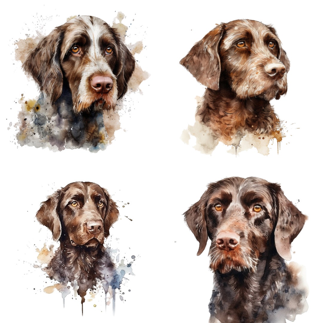 Pudelpointer Art Print, Pudelpointer Watercolor Clipart, Cute Dog ...