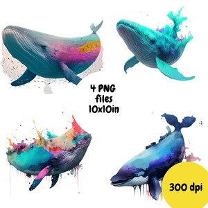 Whale Watercolor, Digital Downloads, Whale Clipart, Whale PNG, Whale ...
