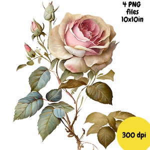 Watercolor Shabby Chic Vintage Rose, Instant Digital Download ...