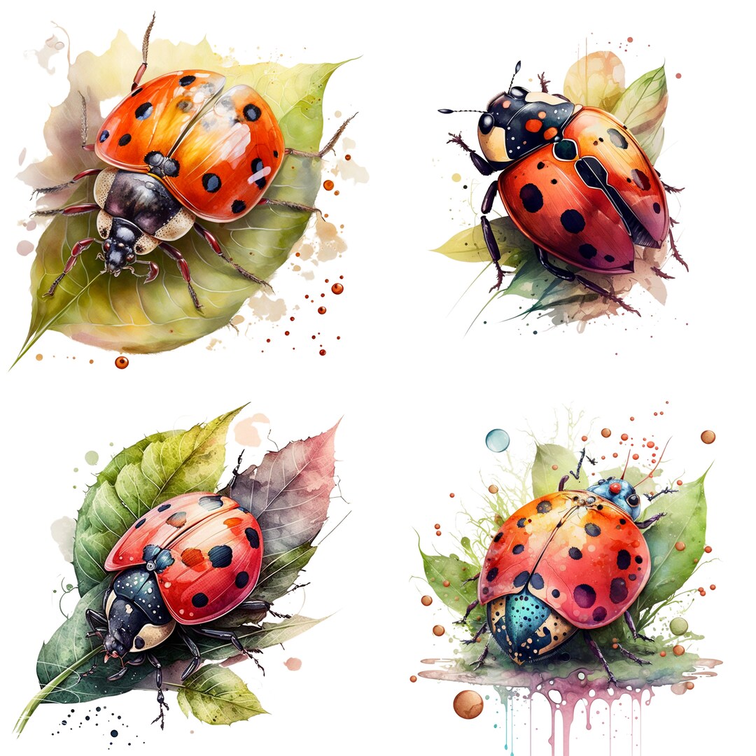 Ladybug Watercolor Clipart Illustration PNG - Etsy