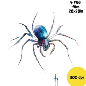 Spider Watercolor, Digital Downloads, Spider Clipart, Spider PNG ...
