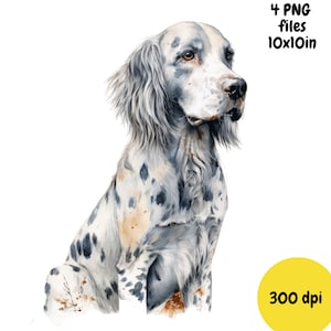 English Setter Art Print English Setter Watercolor Clipart - Etsy
