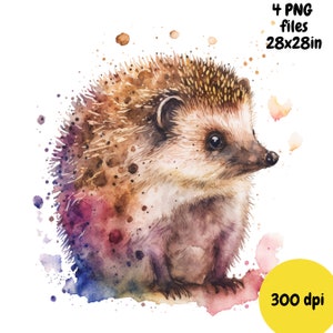 Hedgehog Watercolor, Digital Downloads, Hedgehog Clipart, Hedgehog PNG ...