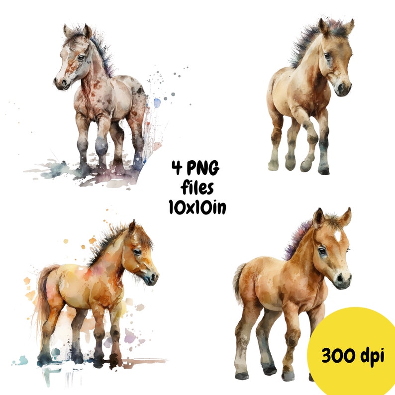 Baby Horsebaby Horse Clipart Watercolor Woodland Animal - Etsy