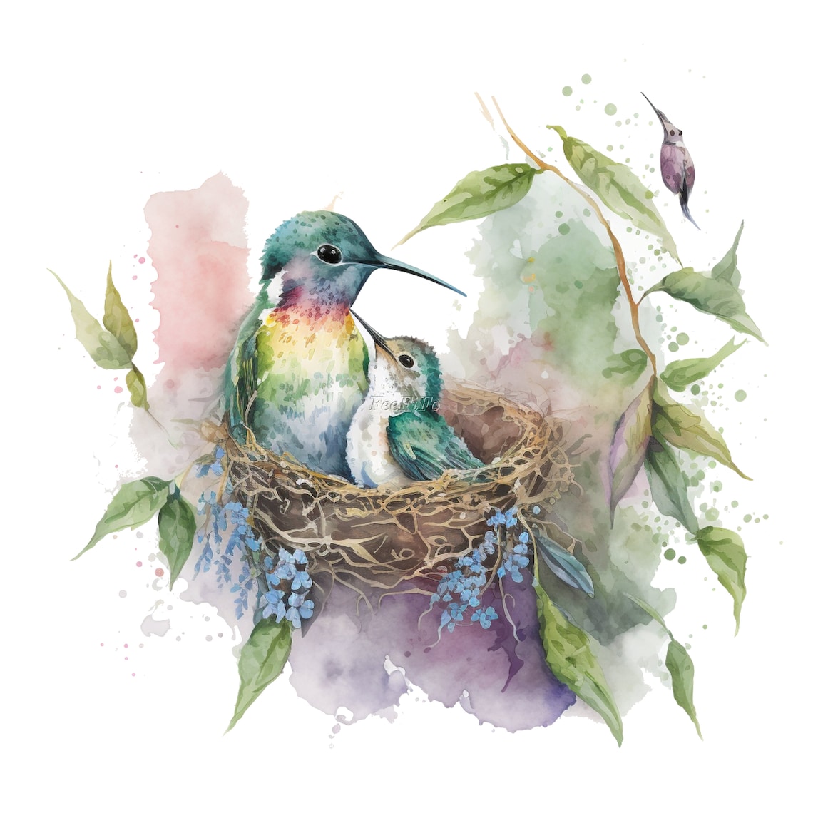 Mom and Baby Hummingbird in Nest Clipart Watercolor Bird in - Etsy