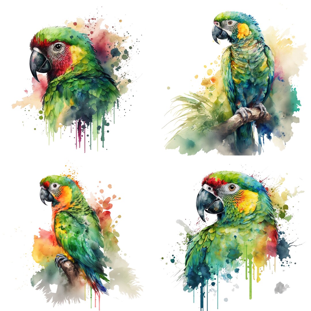 Parrot Watercolor, Digital Downloads, Parrot Clipart, Parrot PNG ...