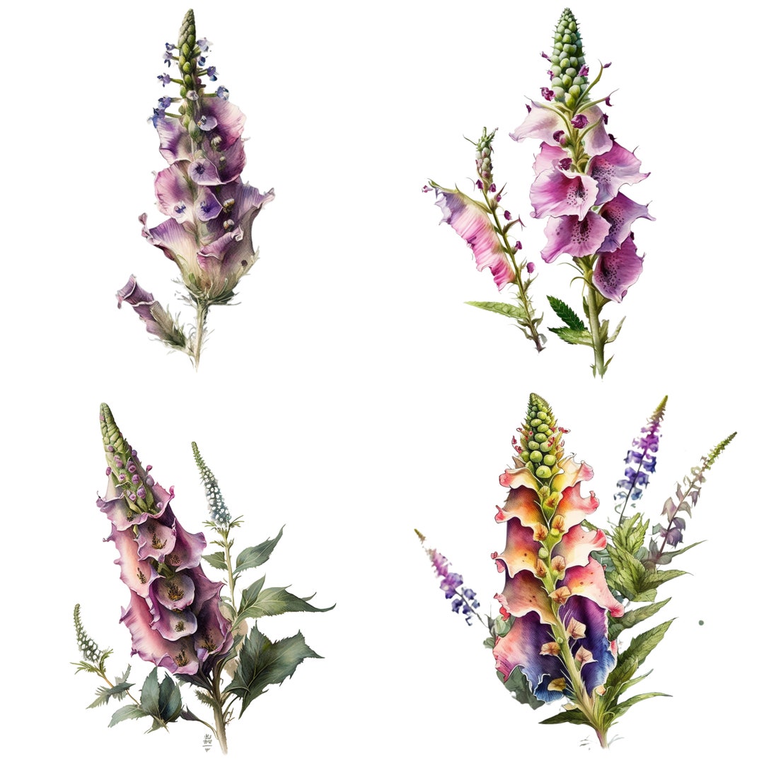 Watercolor Foxglove, Foxglove Clipart, Watercolor Flower Print, Wedding ...